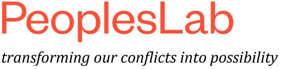 PeoplesLab: Tools of Engagement Certificate - BRDGES Academy